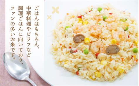 ハナエチゼン 5kg 令和6年 福井県産【白米】【お米 こめ 米 コメ 精米 はなえちぜん 華越前 5キロ】 E30 A067 福井県