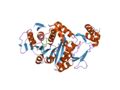 Category:N(2),N(2)-dimethylguanosine tRNA methyltransferase Trm1 ...