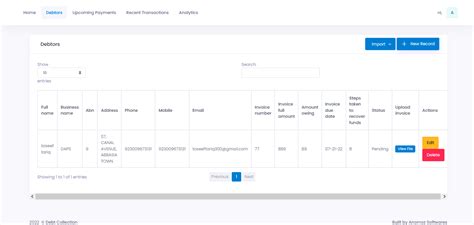 Debt Collection Project Details