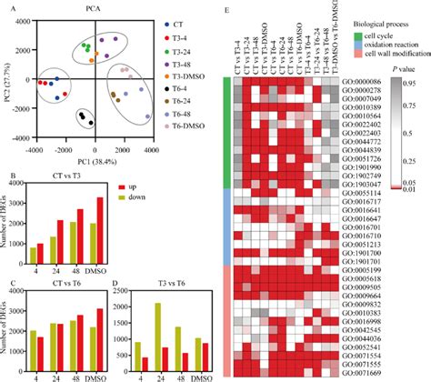 Transcriptome Statistics Of Norway Spruce Embryonic Tissues During T3