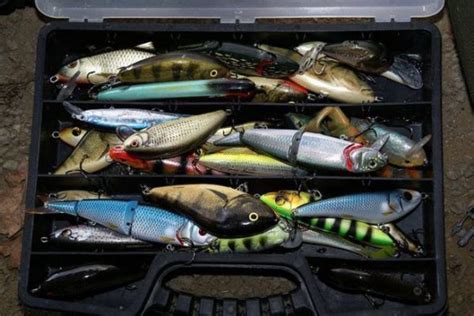 Comment classer les différents types de leurres durs pour la pêche