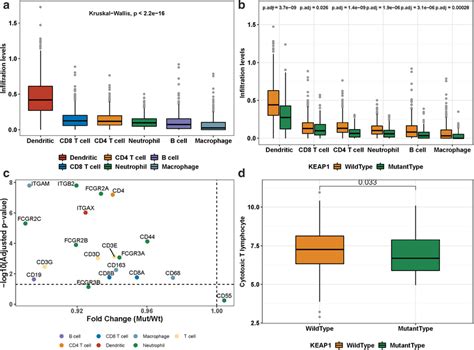 Tumor Infiltrating Leukocytes And Keap1 Mutation Status A