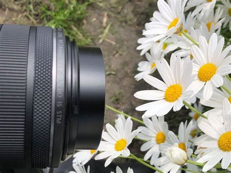 canon rf 24mm f 1 8 macro is stm