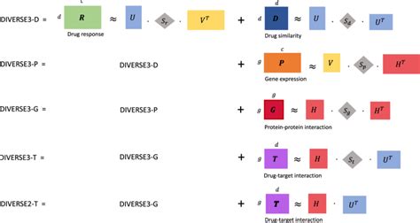 Overview Of Our Systematic Framework Diverse Of Integrating Multiple