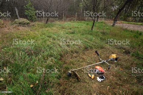 잔디를 깎는 도구와 장비 잔디는 땅에 놓여 잔디 트리머 잔디 깎기 길가 잔디 를 깎고 0명에 대한 스톡 사진 및 기타 이미지 Istock