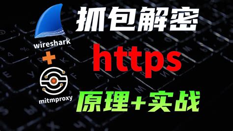 Https Https Mitmproxy Wireshark Https