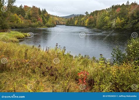 Листопад на реке Androscoggin около Errol Нью Гэмпшир Стоковое