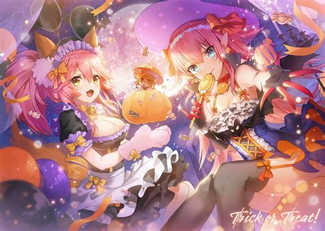 Tamamo Fujimaru Ritsuka Elizabeth Bathory Tamamo Cat And Elizabeth Bathory Fate And More