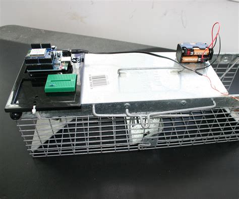 Critter Twitter Trap 8 Steps With Pictures Instructables