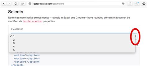 Html Bootstrap Select Misplaced On Chrome And Opera Stack Overflow