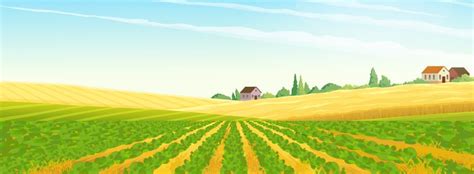 What Are The Benefits Of Growing Multiple Crops Together Science
