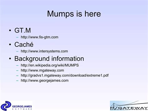 Mumps The Internet Scale Database Ppt Databases Computer Software