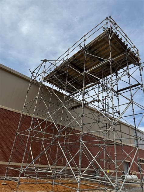 Our Scaffold Is Versatile This Is An Engineered Platform We Erected