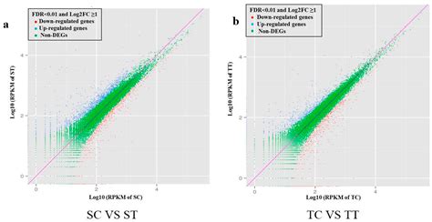 Rna Seq Transcriptome Analysis Of Maize Inbred Carrying Nicosulfuron Tolerant And Nicosulfuron