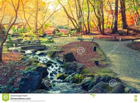 De Herfstbos Met Rivier Gefiltreerde Beeld Verwerkte Wijnoogst Stock