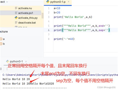 Python Printinput Print Input Csdn