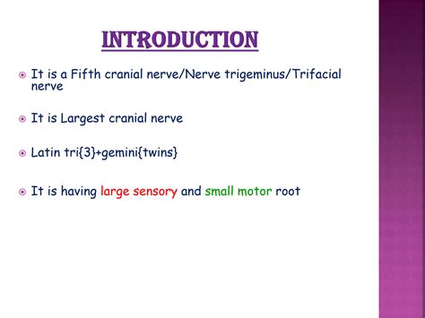 Solution Trigeminal Nerve Studypool