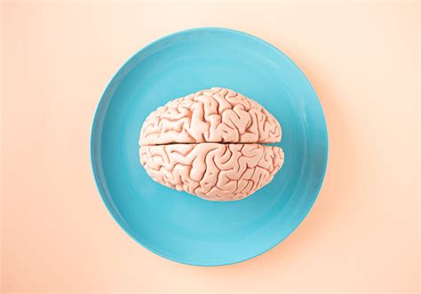 개념 예술 개념적 이미지 공부하다 과학 과학 일러스트레이션 교육 교육 도구 교육적인 뇌 건강 뇌 구조 뇌 모델