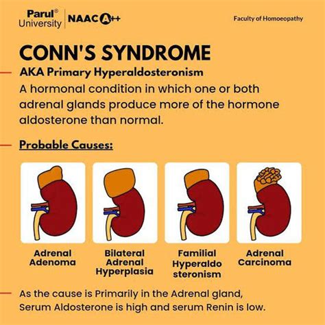 Conns Syndrome Medizzy