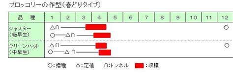 ブロッコリー（春穫り）作型、品種、栽培のポイント こうち農業ネット