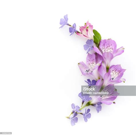 꽃 조성물 다양한 다채로운 꽃으로 만든 화환 부활절 봄 여름 개념 플랫 레이 상단 보기 0명에 대한 스톡 사진 및 기타 이미지