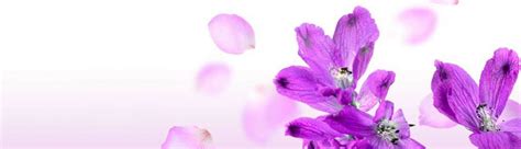 Background Duka 56 Koleksi Gambar