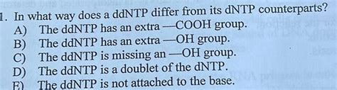 [answered] A B 1 In What Way Does A Ddntp Differ From Its Dntp Kunduz