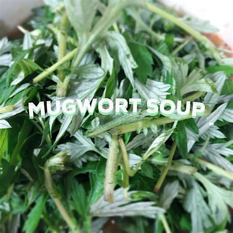 Millennial Wellness Lac On Instagram “tempeh Mugwort Doenjang Soup 🍲