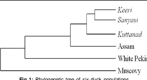 Figure 1 From Genetic Diversity Of Six Duck Populations In India Semantic Scholar