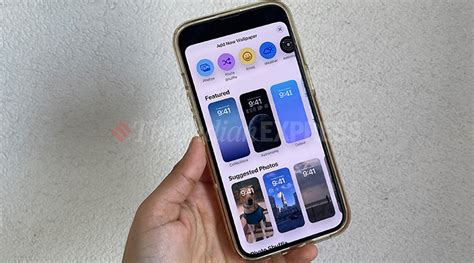 Quickly Change Your Quick Change Background IPhone And Get A Brand New Look