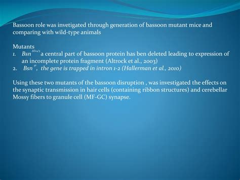Ppt Bassoon Speeds Vesicle Reloading At A Central Excitatory Synapse