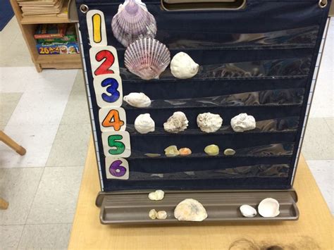 Ocean Theme Sea Shell Counting Great Way To Teach Numbers And