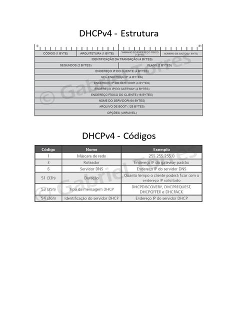 Estrutura Dhcpv4 Pdf