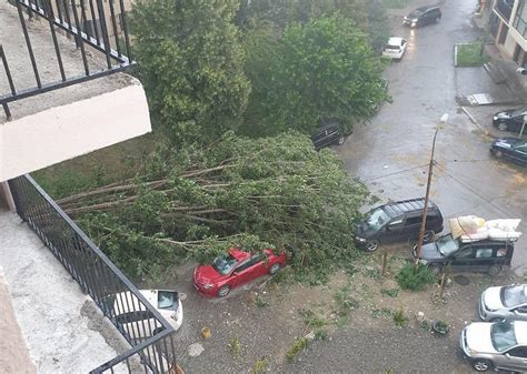 დაგვემხო თავზე ძლიერი წვიმა და ქარი თბილისში ზოგან მოგლეჯილია ხეები რა ხდება დედაქალაქში