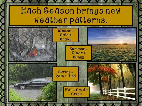 Seasonal Weather Patterns At Sarita Sturgeon Blog