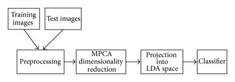 Flow Chart Of Face Recognition Algorithm Download Scientific Diagram