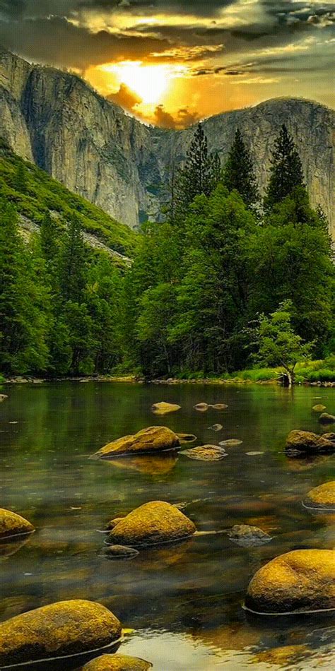 Live Moving Nature Wallpaper