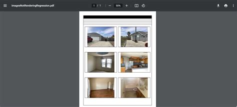 Images Are Showing Up Blank After Pdfjs Upgrade Regression · Issue