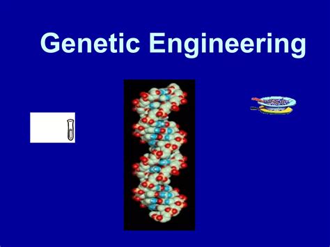 module 11 lesson 1 ppt genetics science