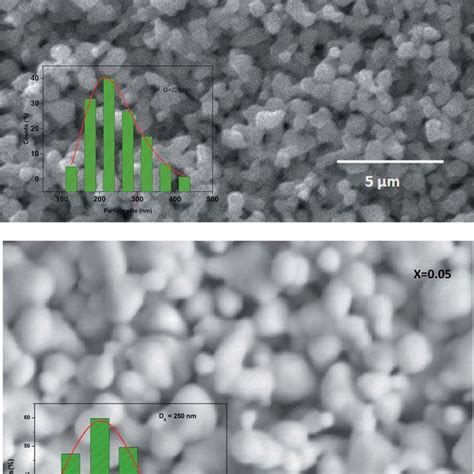 Scanning Electron Micrograph For La 067Àx Bi X Ba 033 Mno 3 X ¼ 0