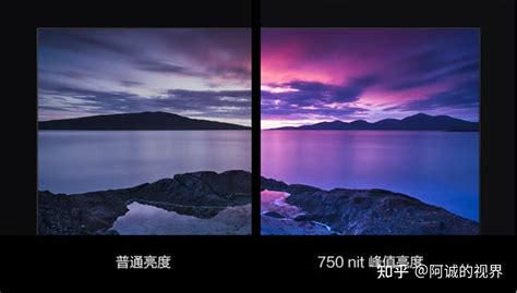 【2024年智能电视选购指南】智能电视怎么选？液晶电视怎么选？2024年十大电视品牌热销机型全曝光 10款最值得入手的电视品牌及机型推荐