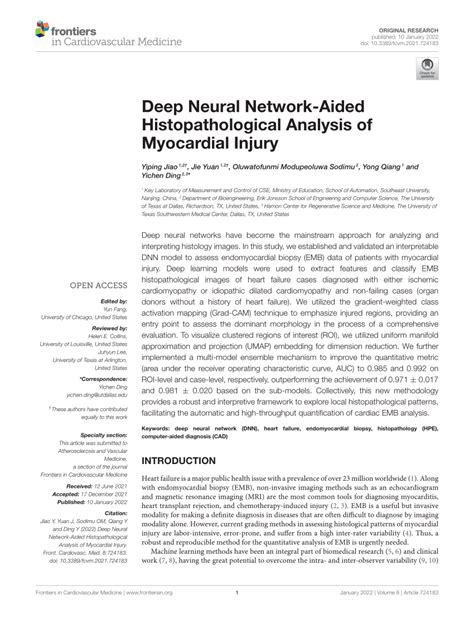 Pdf Deep Neural Network Aided Histopathological Analysis Of