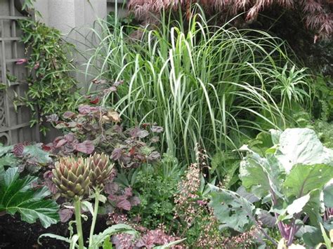 Идеи для маленького сада декоративные деревья кустарники и растения