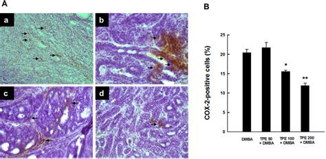 Ijms Special Issue Bioactive Phytochemicals In Functional Foods For