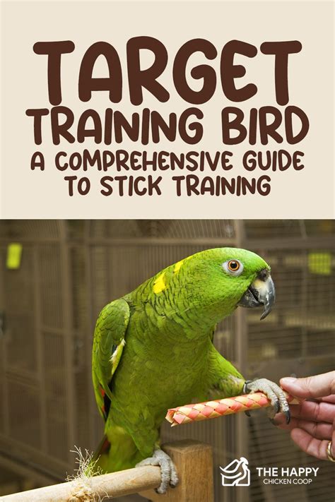 Target Training Bird The Happy Chicken Coop