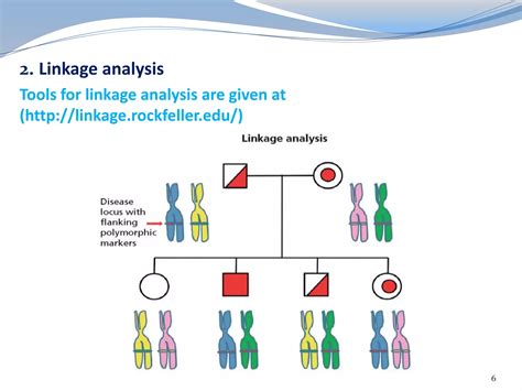 Application Of Bioinformatics Pptx