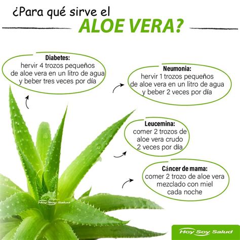 Beneficios Del Aloe Vera Hoysoynet ️