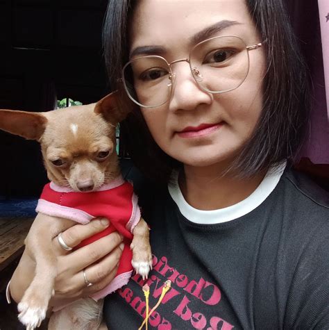 ซีรีส์ดีน่าดู ขุนนางหญิงยอดเสน่หา ป้ายยาซีรี่ส์จีน Facebook