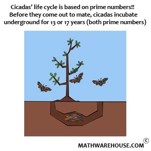 How To Solve One Sided Limits Examples Pictures And Practice Problems