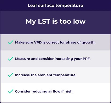 Leaf Surface Temperature Essential For Plant Health